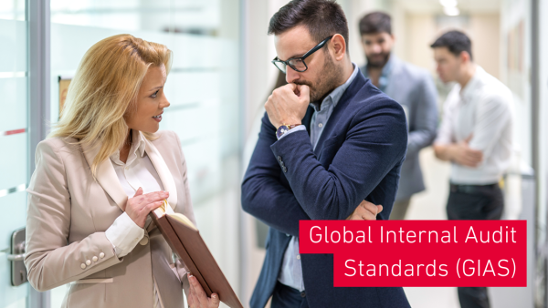 Global Internal Audit Standards (GIAS) konform arbeiten | ibo Blog